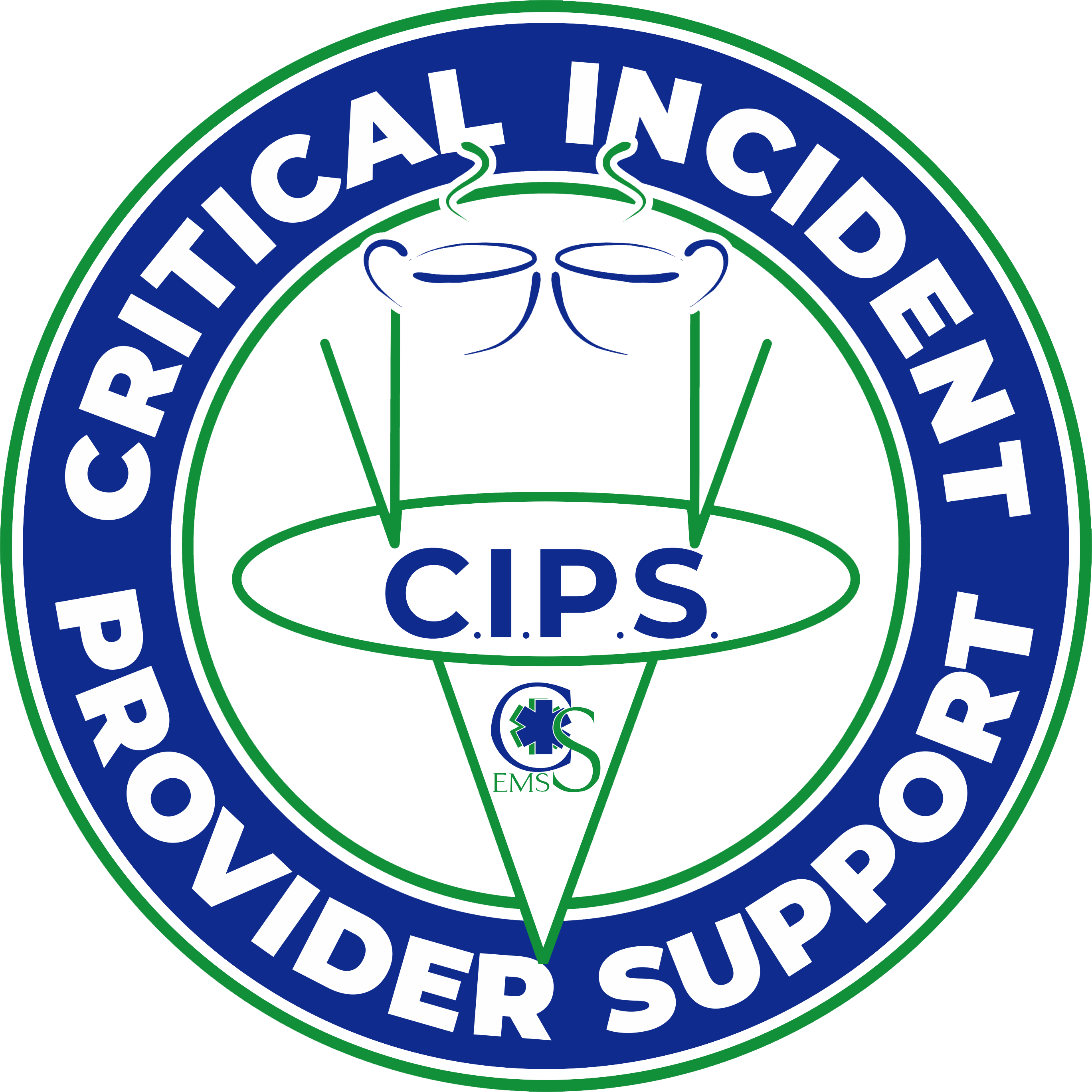 Critical Incident Provider Support - Lighthouse